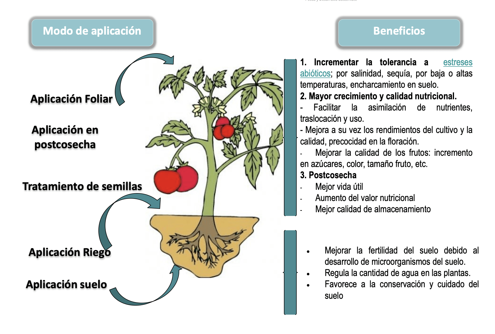 La importancia del uso de bioestimulantes en la mejora de la ...